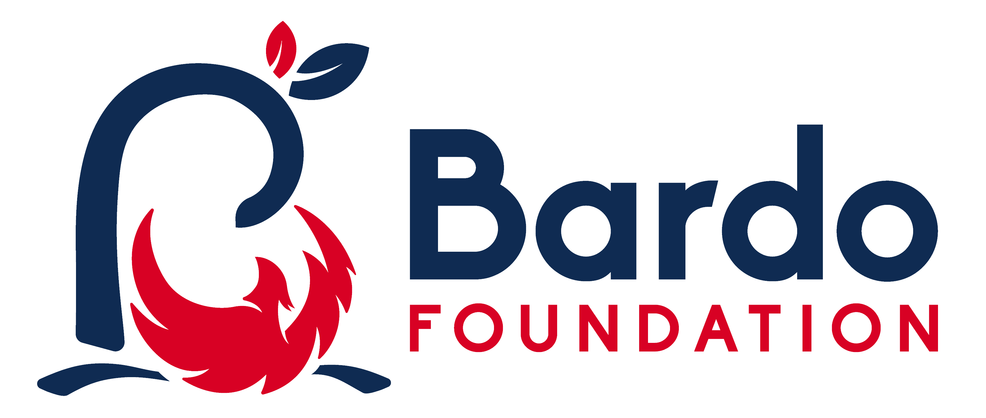 The Bardo Foundation 2025 Annual Report – The Bardo Foundation, Inc.